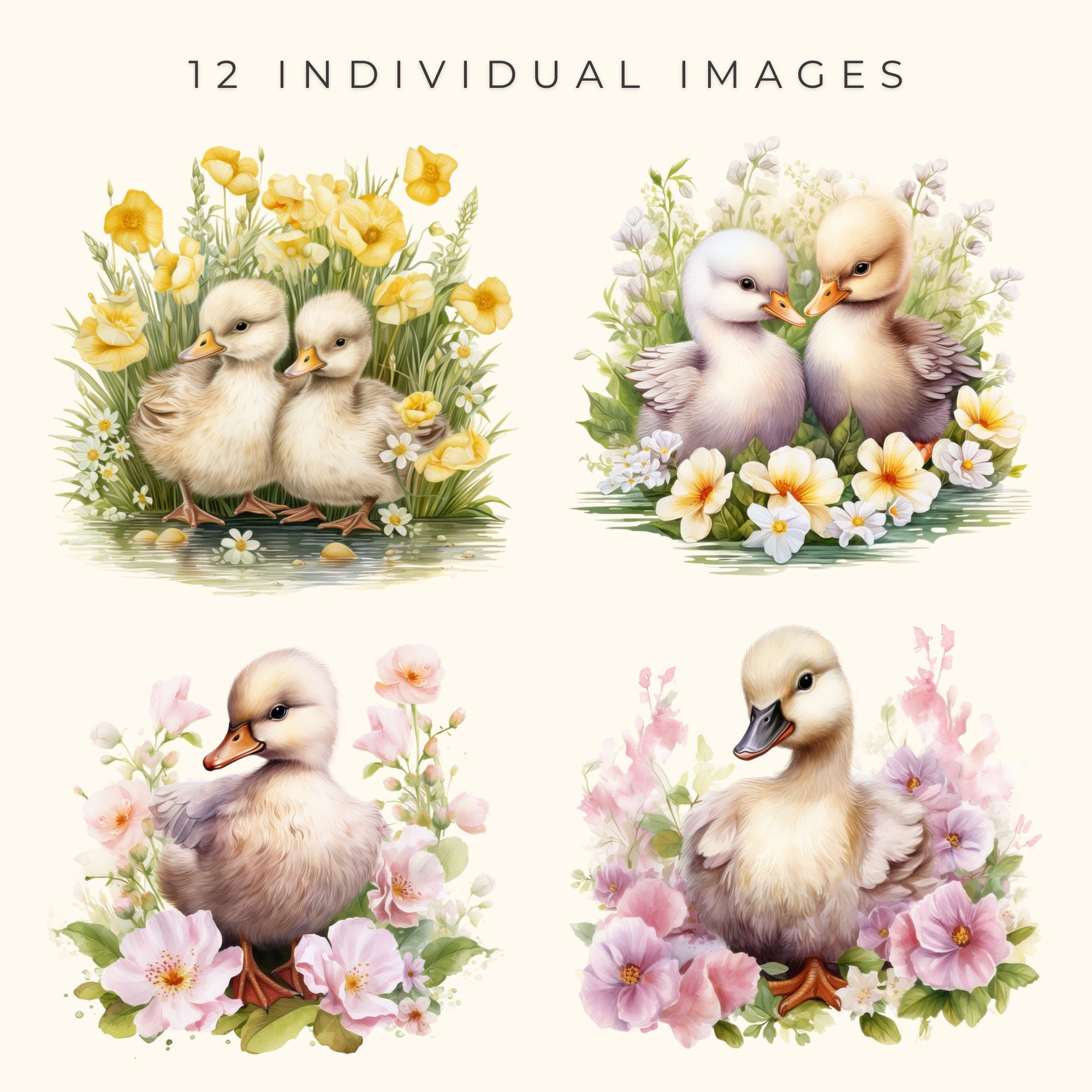 Ducklings Clipart Set, Cute Fluffy Ducklings Clipart, Baby Ducks Bundle ...