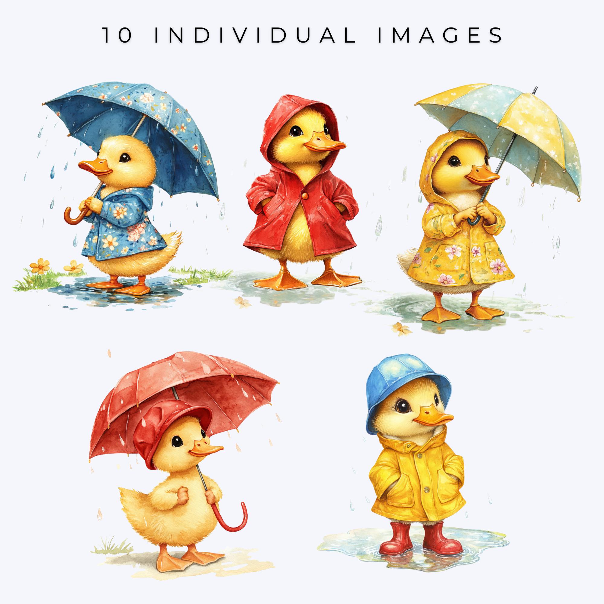 Rainy Day Duckling Clipart Duckling in Rain Clipart PNG Watercolor ...