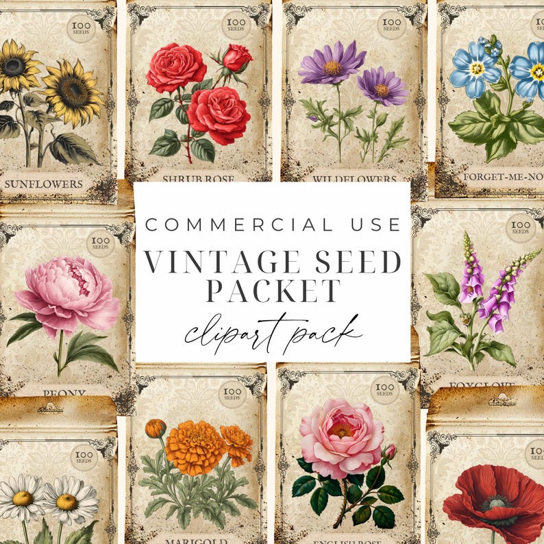 Flower Seed Packets Clipart Vintage Seed Packets Junk Journal PNG Seed ...