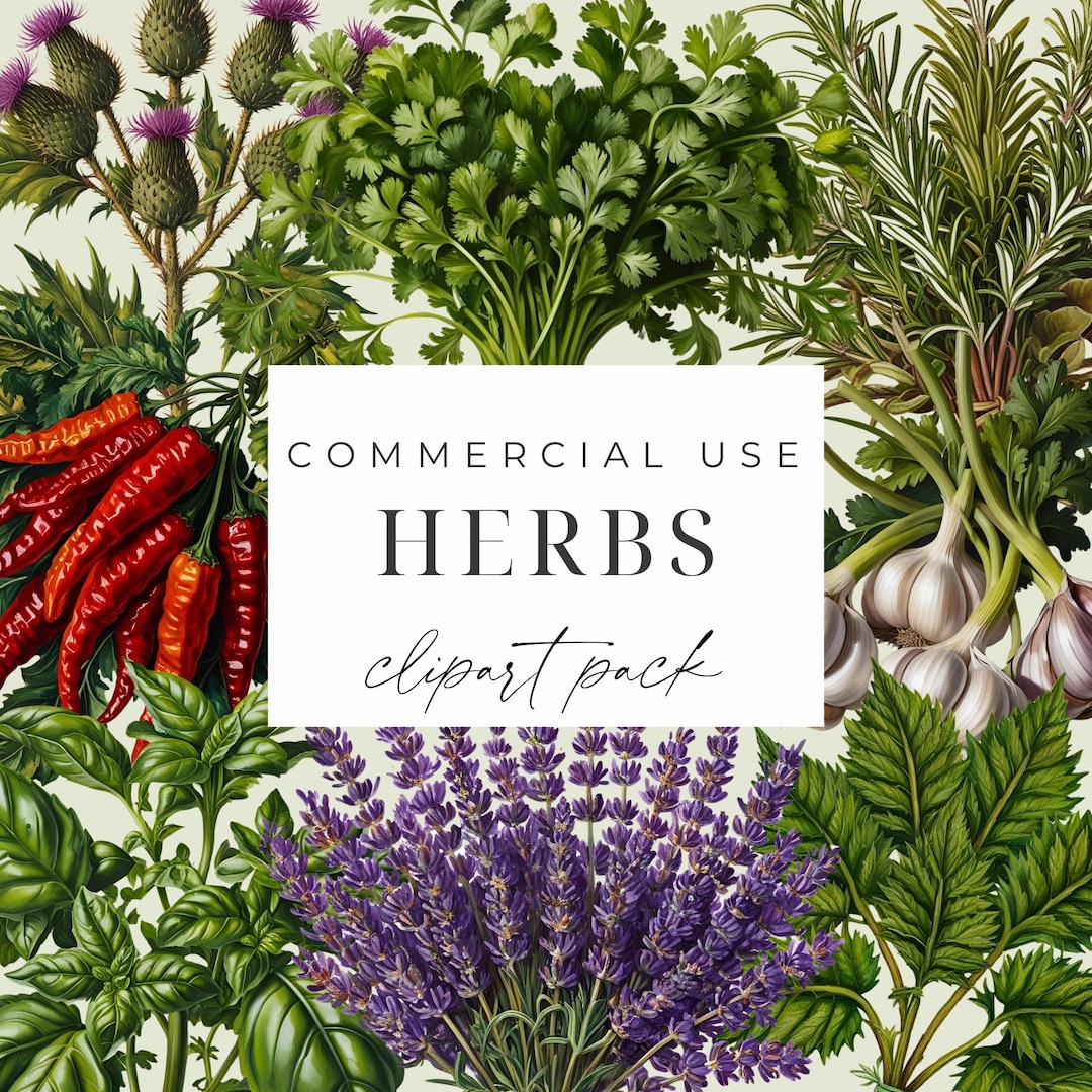 Herbs Clipart PNG Medicinal Herbs Clipart Illustration Watercolor ...