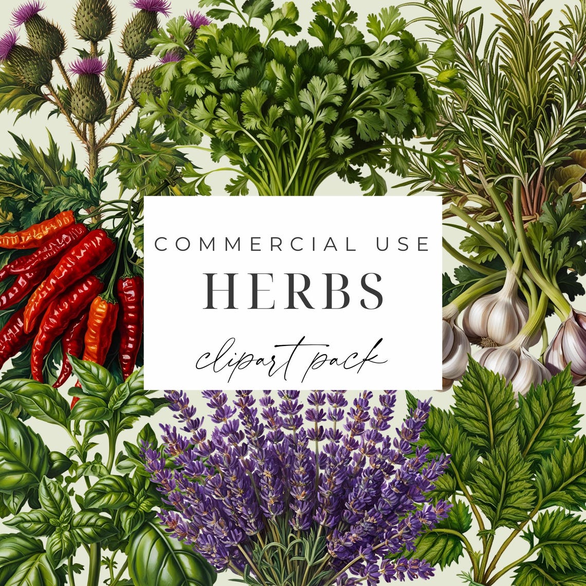 Herbs Clipart PNG Medicinal Herbs Clipart Illustration Watercolor ...