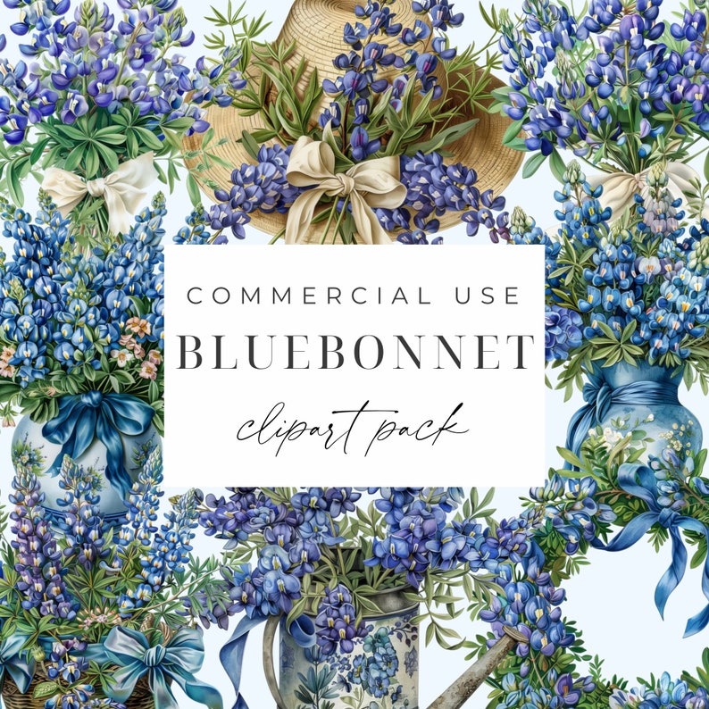 Bluebonnet Clipart Bundle PNG Watercolor Bluebonnet Clip Art Set Blue ...