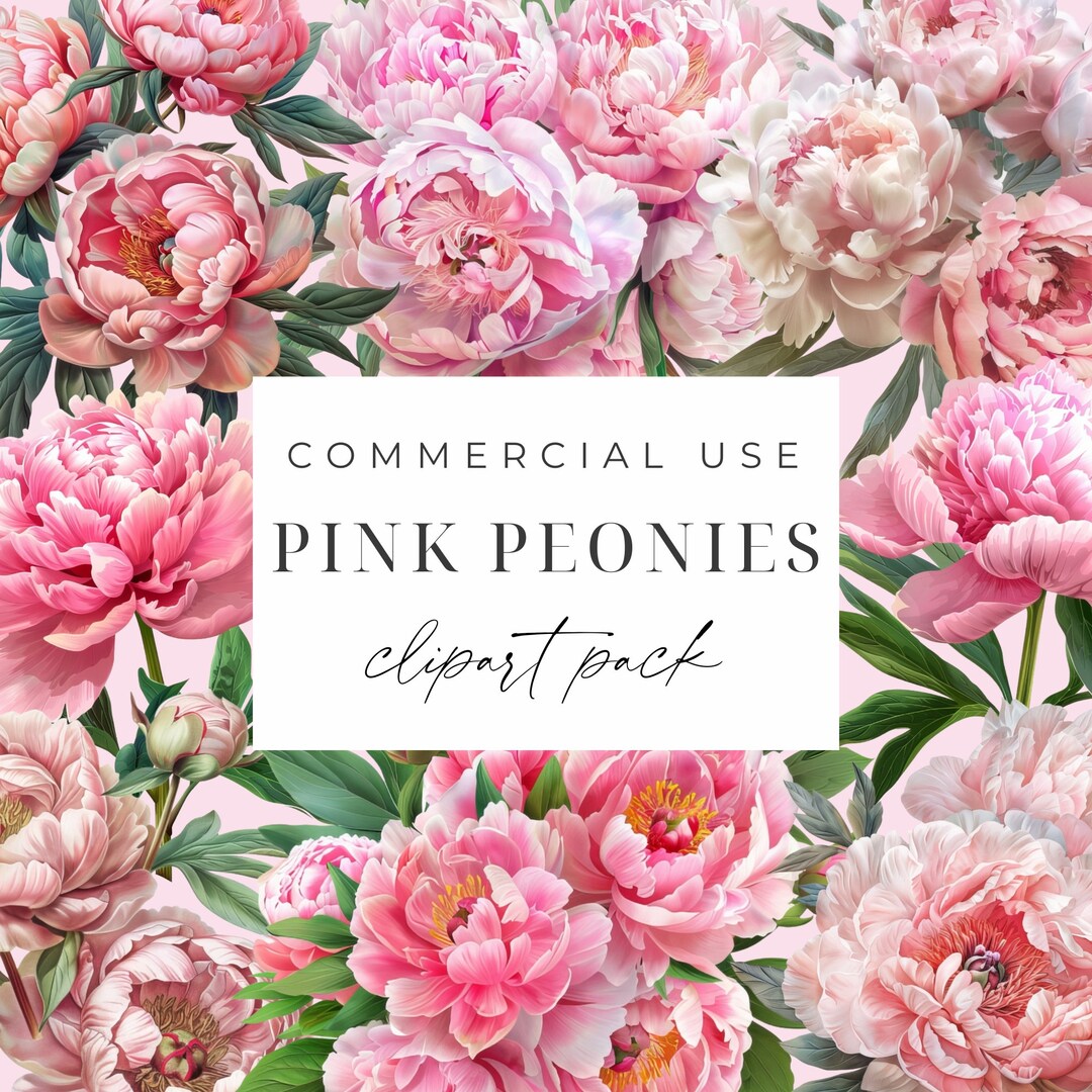 Pink Peonies Clipart Set Peony Clip Art Watercolor Floral Peony PNG ...
