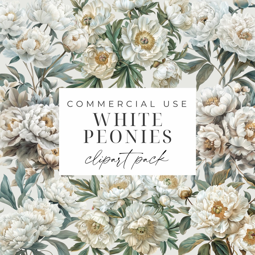 White Peonies Clipart Set, Watercolor White Peony PNG, Peony Flowers ...