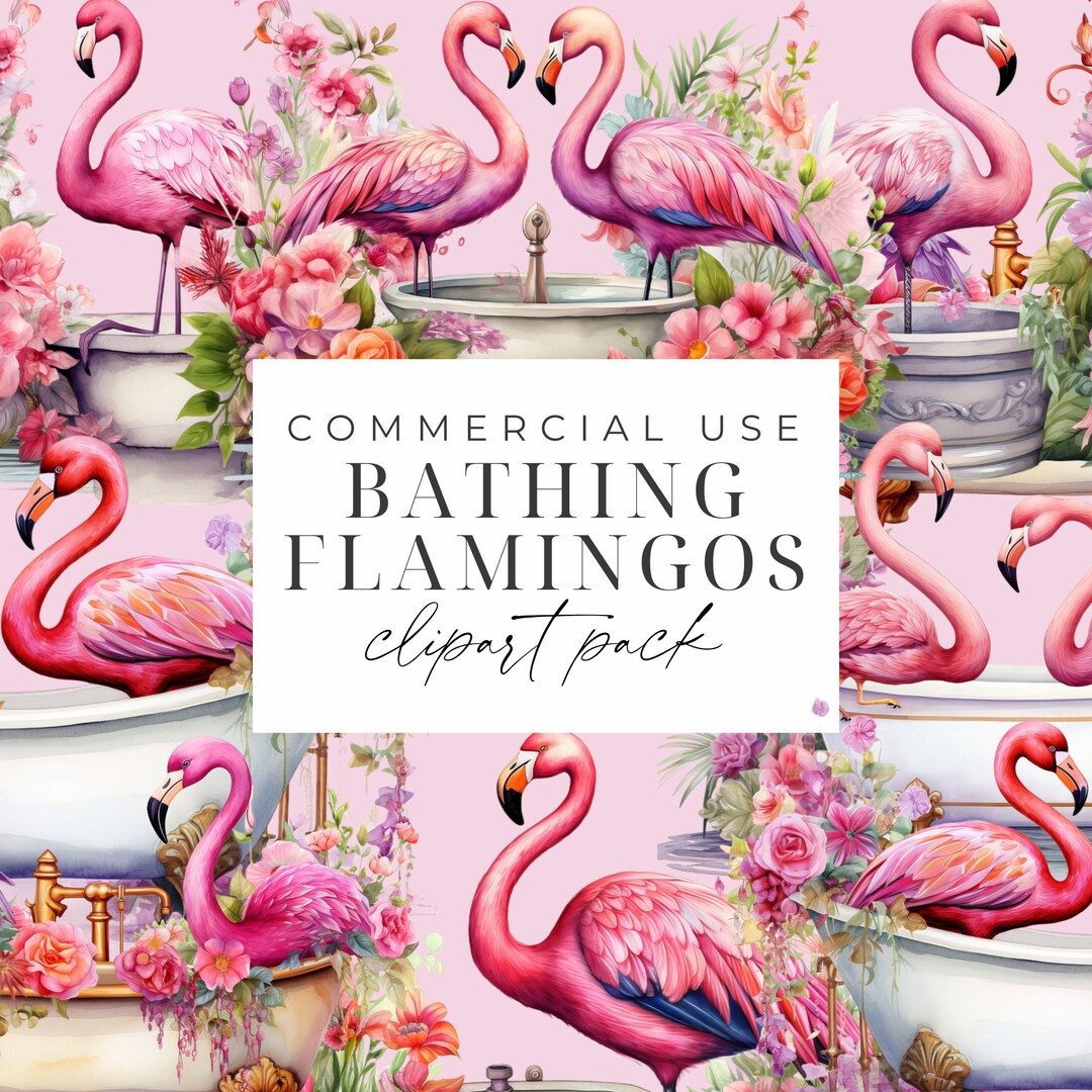 Flamingo Clipart Set Pngs, Commercial Use, Flamingo Digital Clipart ...