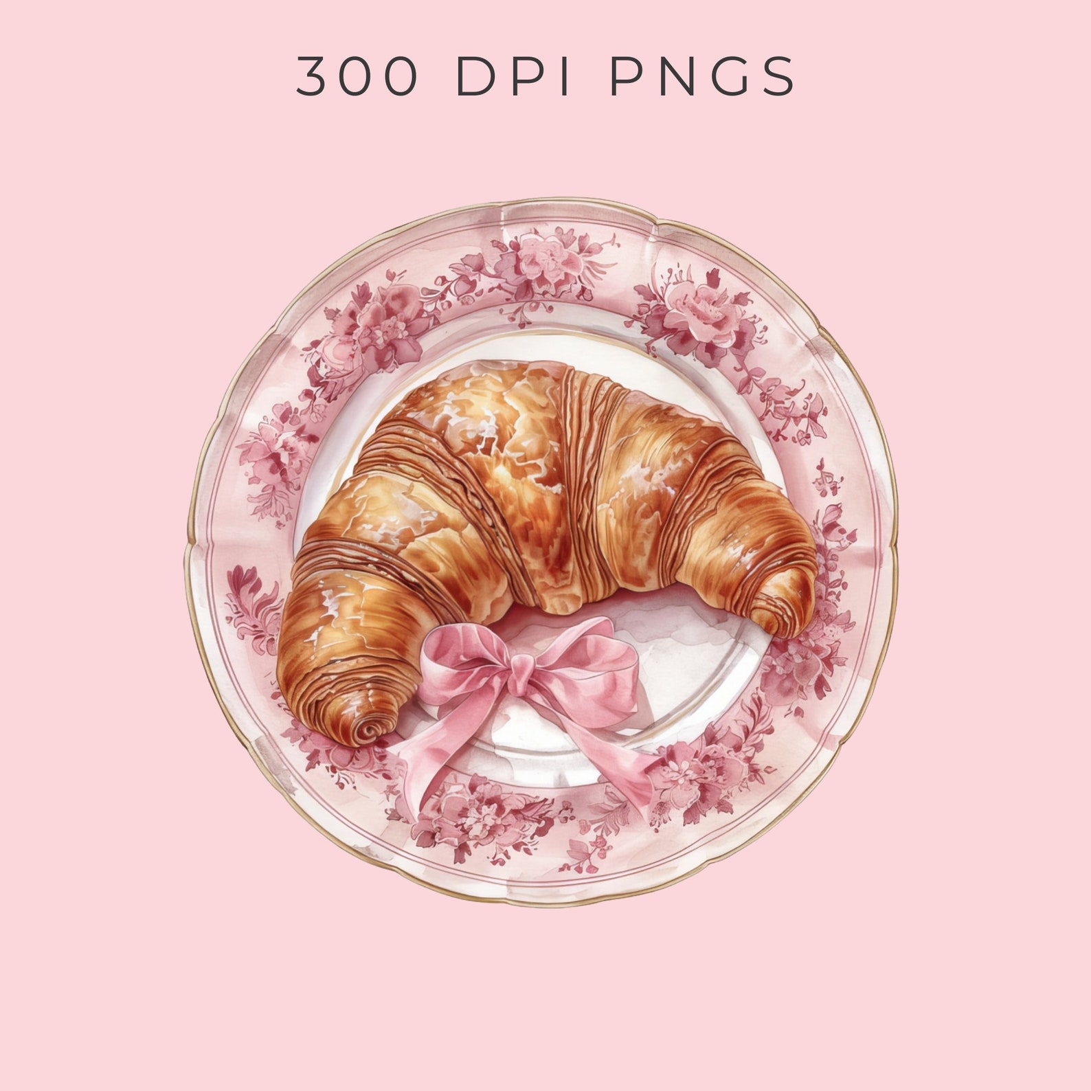 Pink Coquette Clipart Bundle Watercolor Vintage Coquette PNG Shabby ...