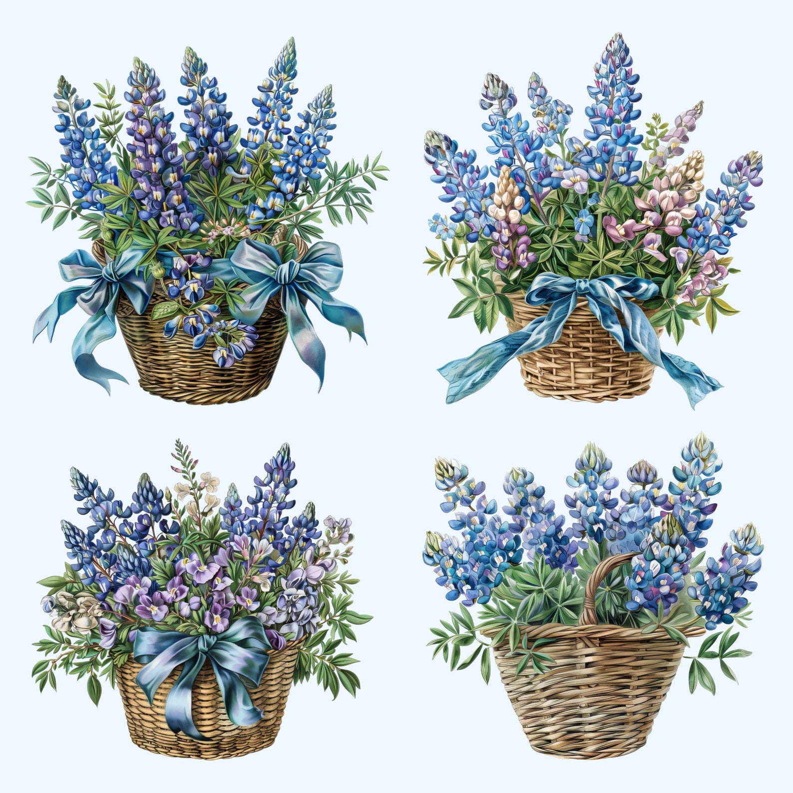 Bluebonnet Clipart Bundle PNG Watercolor Bluebonnet Clip Art Set Blue ...