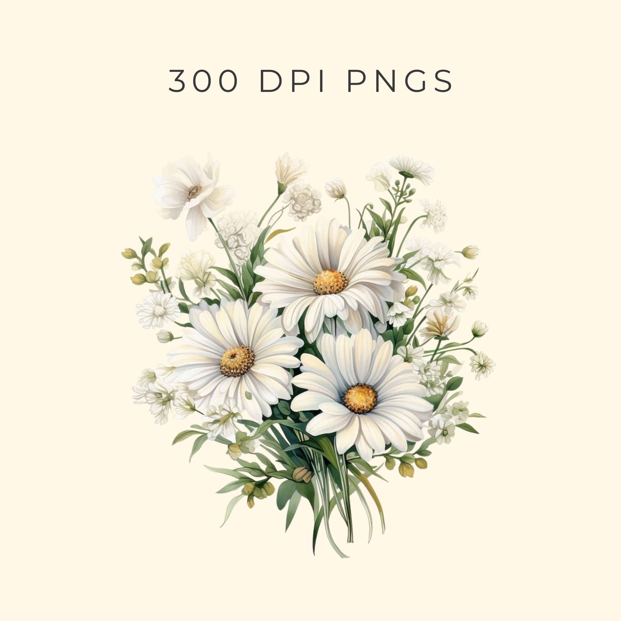 Daisies Clipart Bundle, Watercolor Daisy Clipart Set, Spring Flowers ...