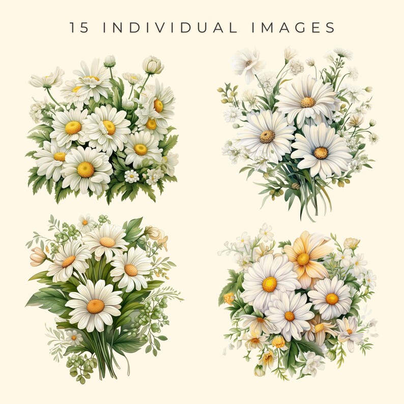 Daisies Clipart Bundle, Watercolor Daisy Clipart Set, Spring Flowers ...
