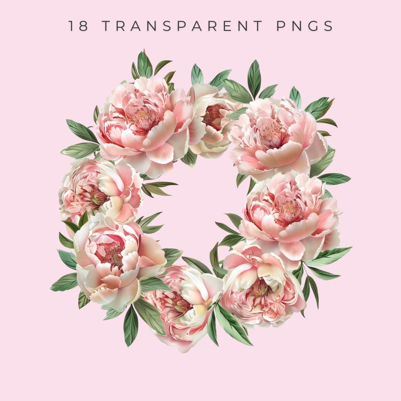 Pink Peonies Clipart Set Peony Clip Art Watercolor Floral Peony PNG ...