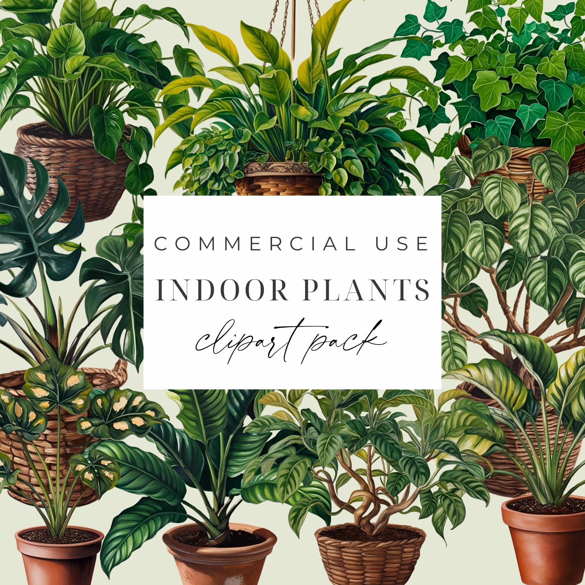 Houseplants Clipart Indoor Plants Clipart PNG Potted Plants Cactus ...