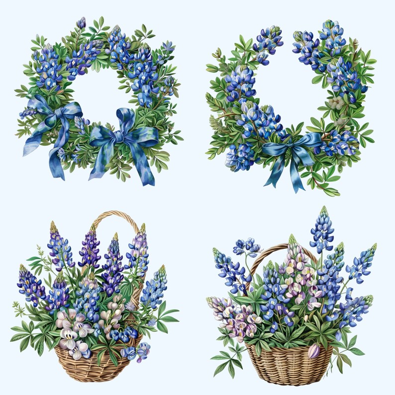 Bluebonnet Clipart Bundle PNG Watercolor Bluebonnet Clip Art Set Blue ...
