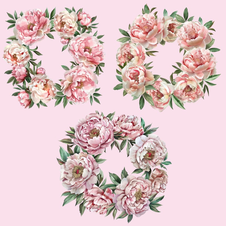 Pink Peonies Clipart Set Peony Clip Art Watercolor Floral Peony PNG ...