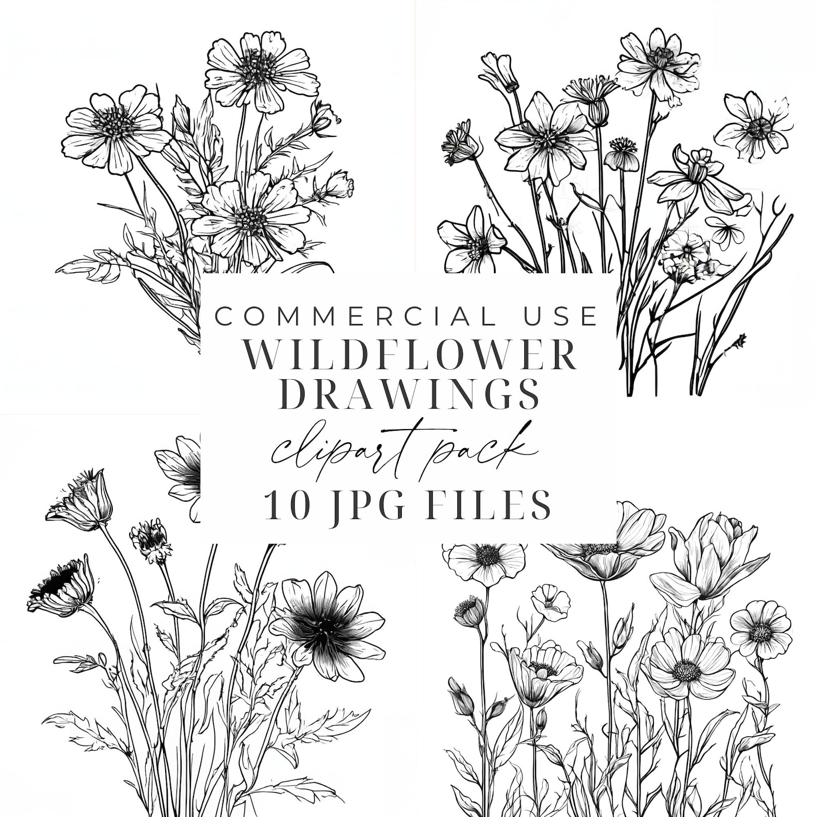 Wildflower Drawing Clipart Wildflower Line Art Illustrations 10 Quality ...