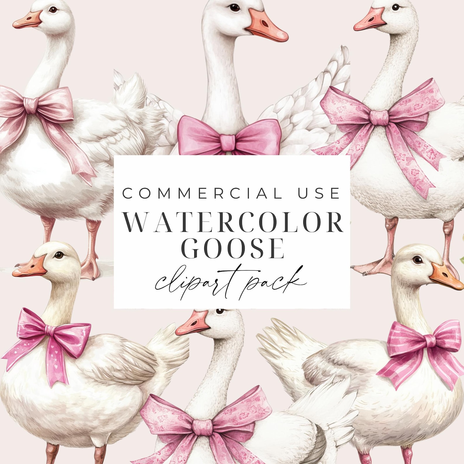 Watercolor Geese Clipart PNG Vintage Goose Clipart Digital Images Farm ...