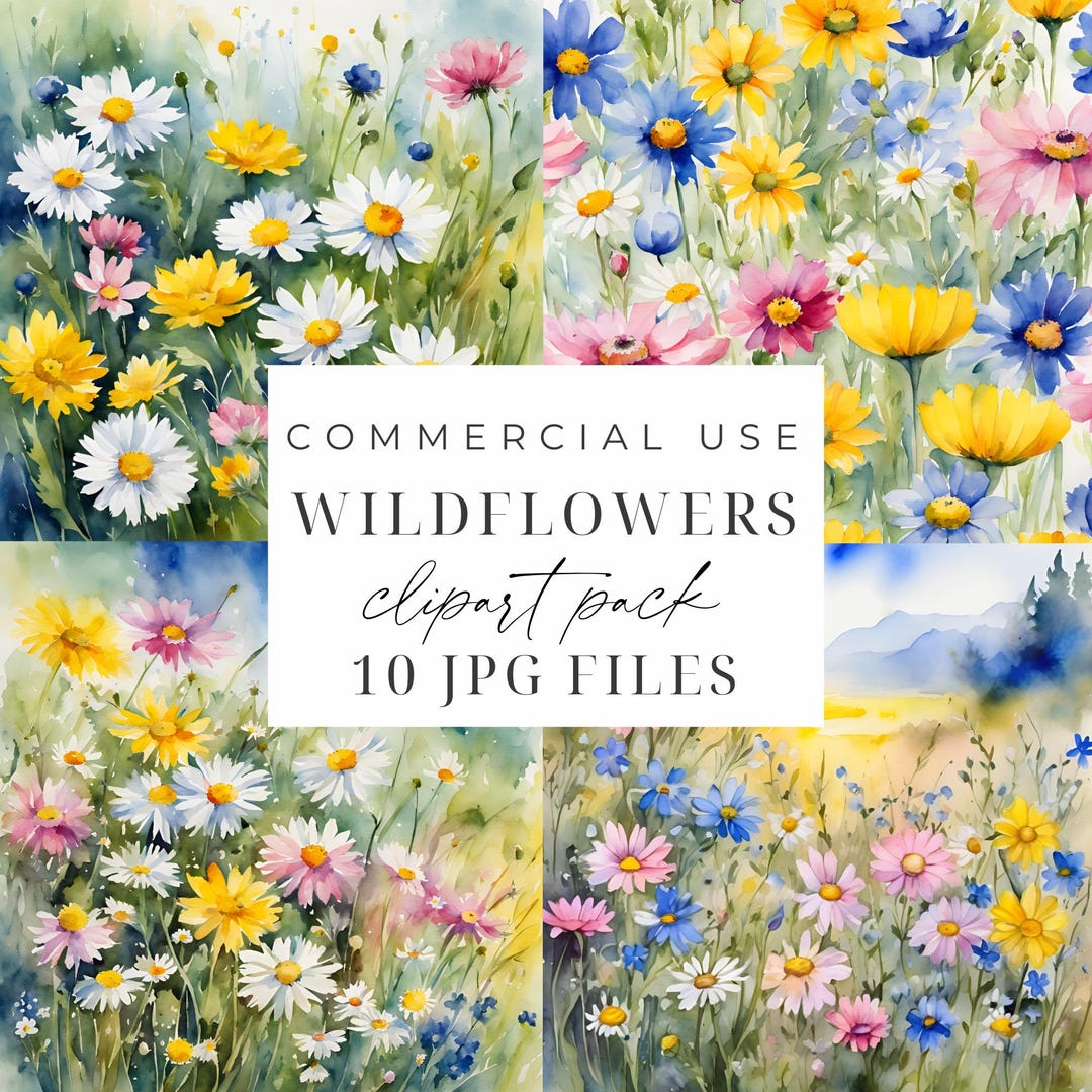 Wildflower Meadow Clipart Wildflower Spring Watercolor Clipart Jpgs ...