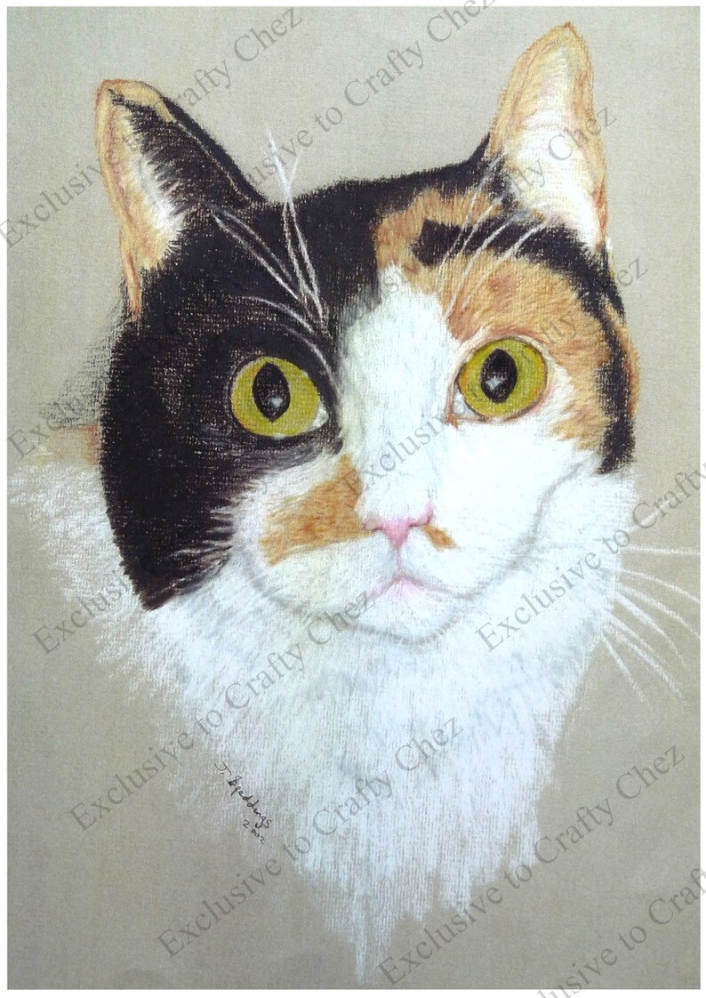 Bella the Cat Digital Download - Etsy