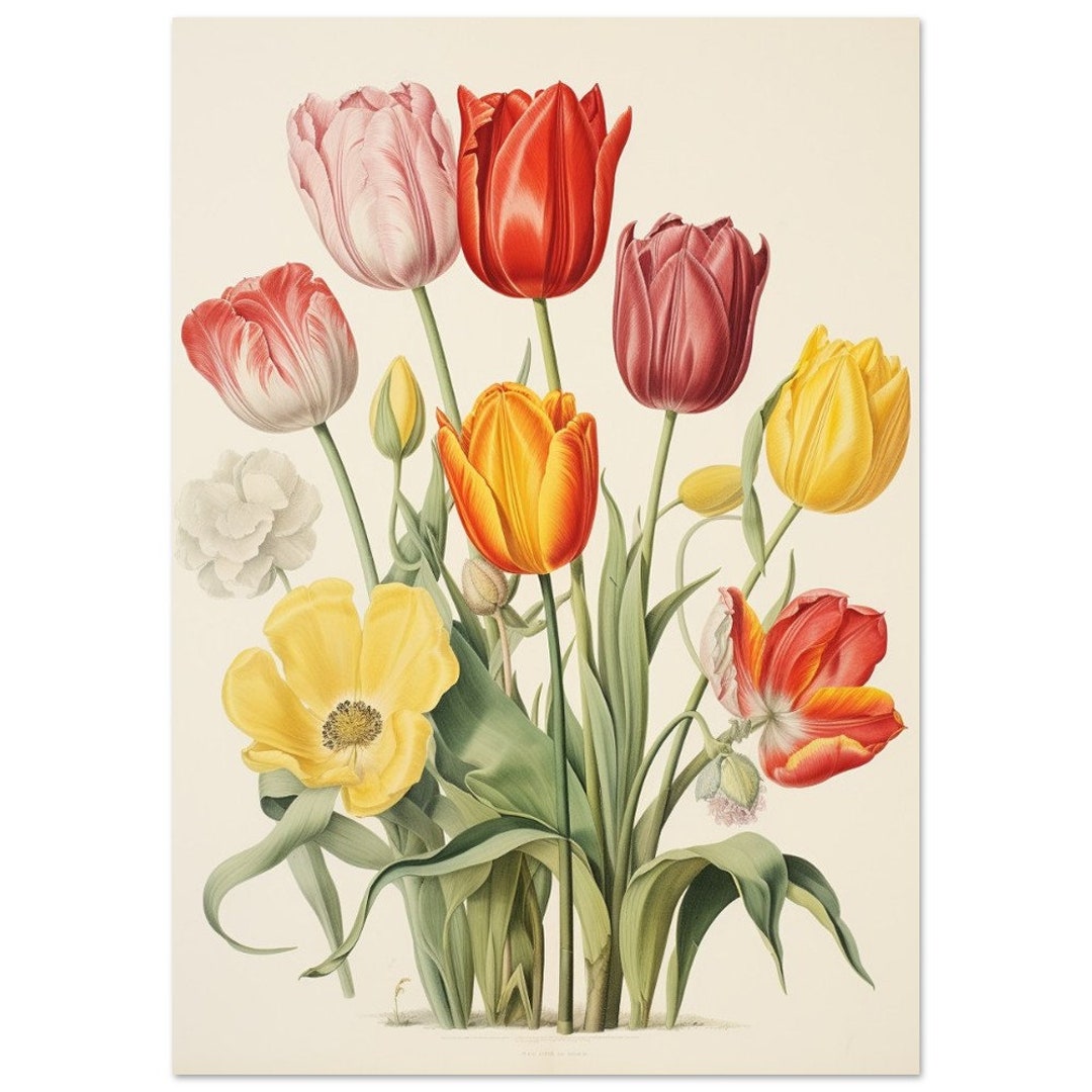 Tulip Print A3 - Etsy