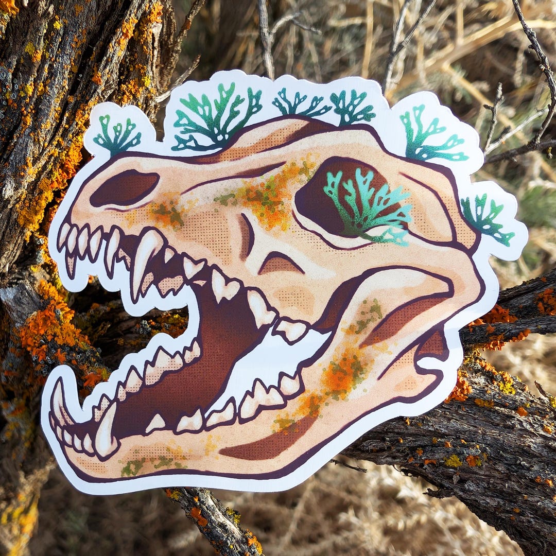 Lichen Animal Skull Sticker - Etsy
