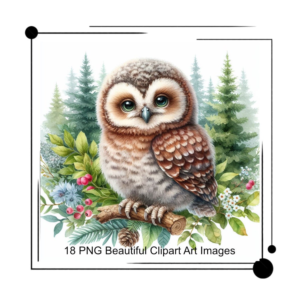 Cute Owl Clipart Bundle Png Digital Download Owl Png Jpg Instant ...