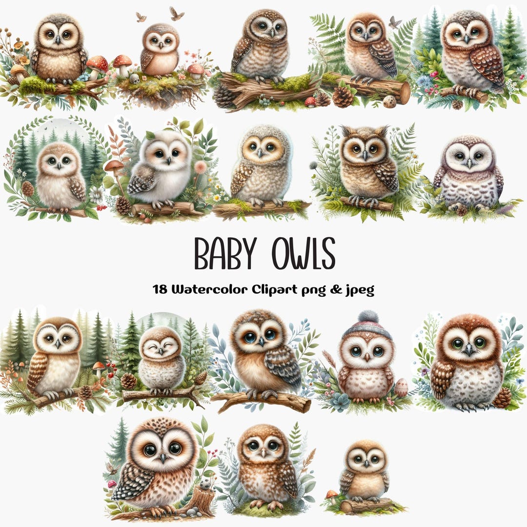 Cute Owl Clipart Bundle Png | Digital Download | Owl Png Jpg | Instant ...