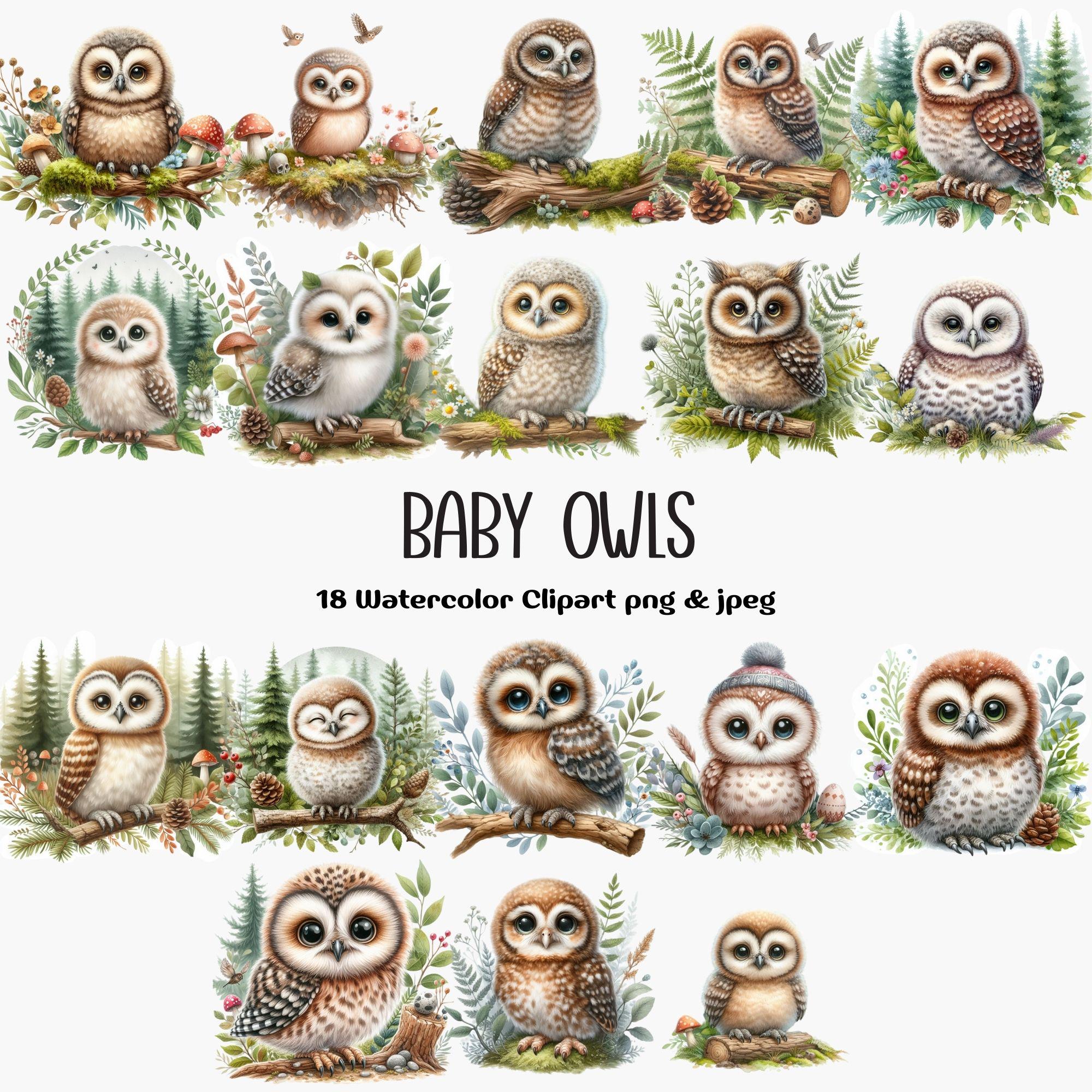 Cute Owl Clipart Bundle Png | Digital Download | Owl Png Jpg | Instant ...