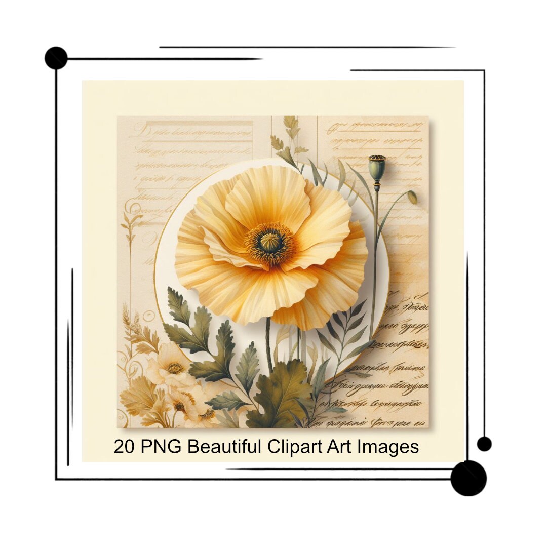 Poppy Scrapbook Page Clipart Bundle digital Download Digital Paper ...