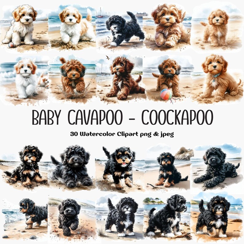 Cavapoo Dog Beach Clipart | Cockapoo Clipart | Instant Digital Download ...
