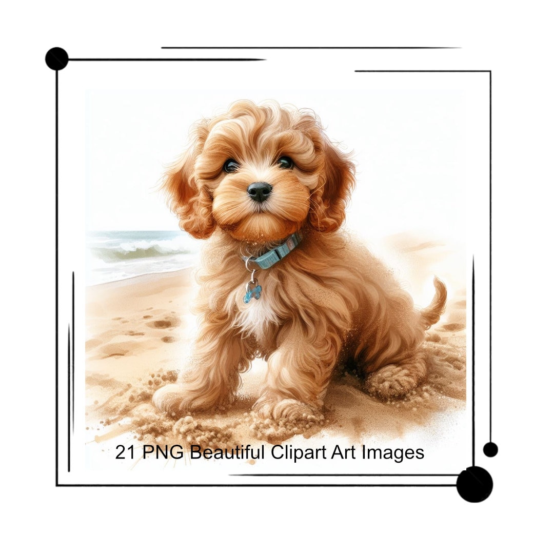 Cavapoo Dog Beach Clipart Cockapoo Clipart Instant Digital Download ...