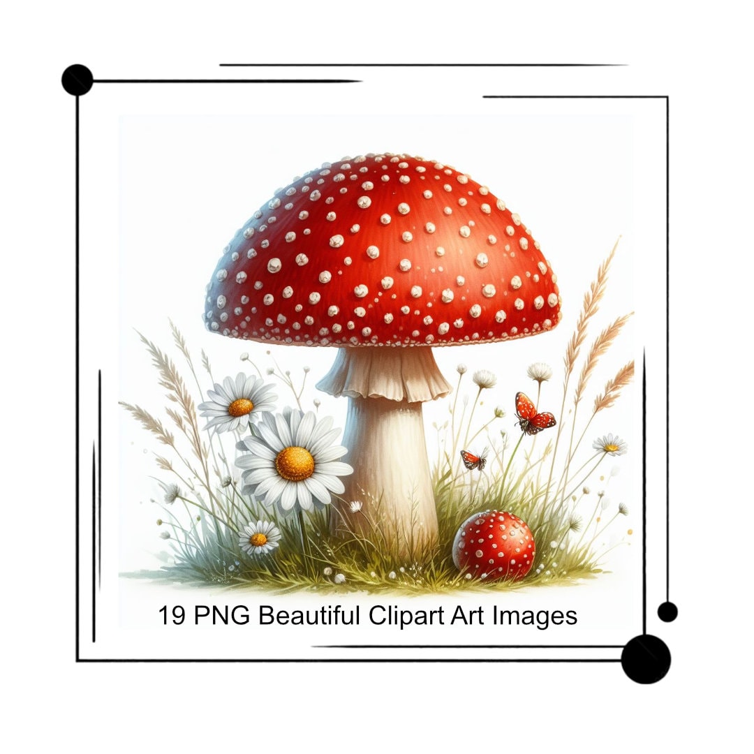 Toadstool Clipart Bundle Png Digital Download Toadstools Png Jpg Png Jpeg Downloads Toadstool ...