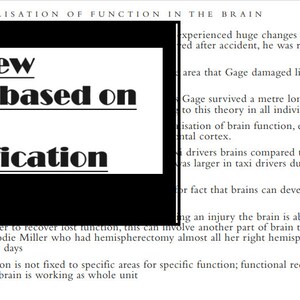 Extremely DETAILED Biopsychology Notes AQA A Level Psychology - Etsy