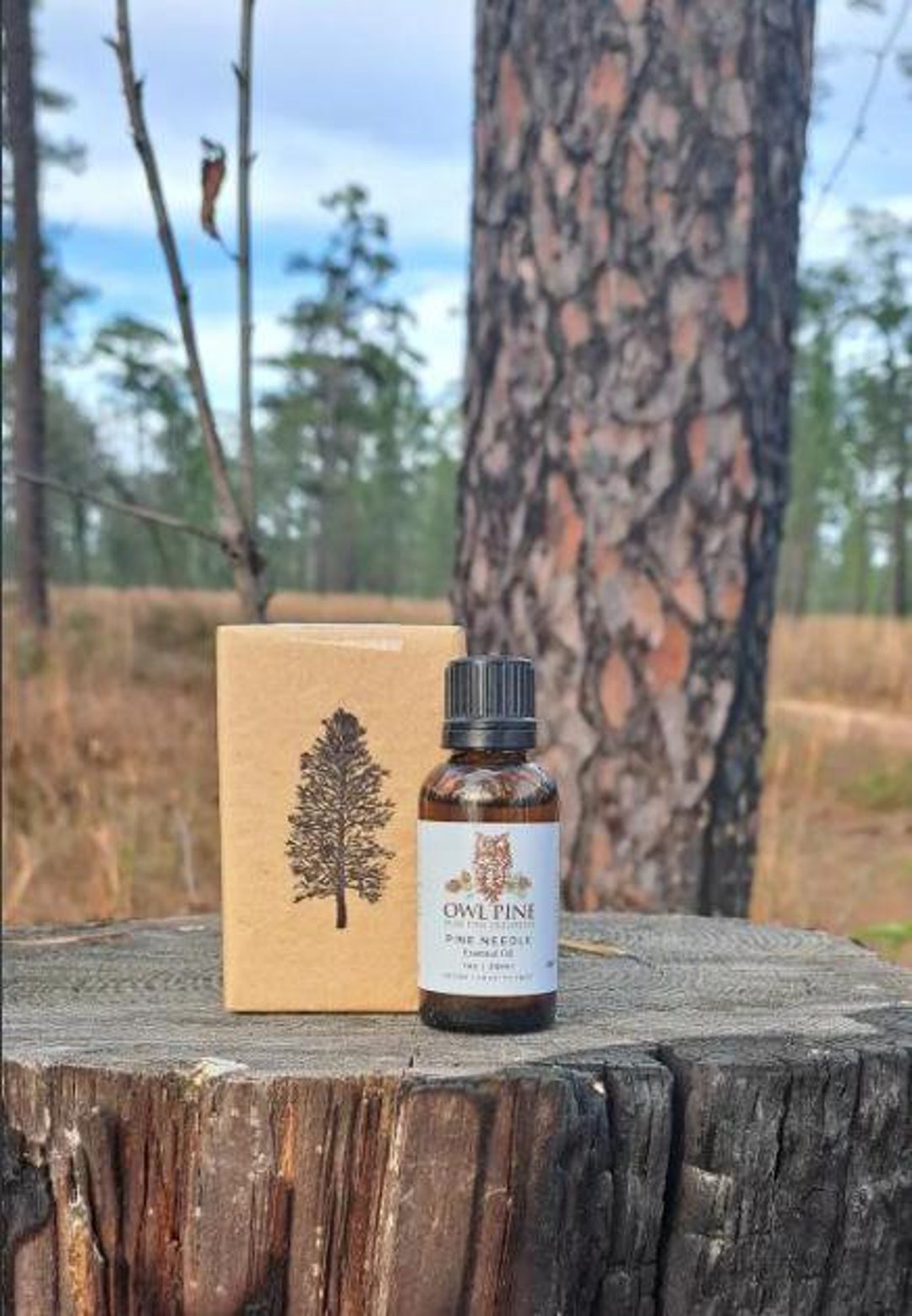 Pine Tar Soap and Pine Essential Oil Bundle (pinus Elliottii) - Etsy