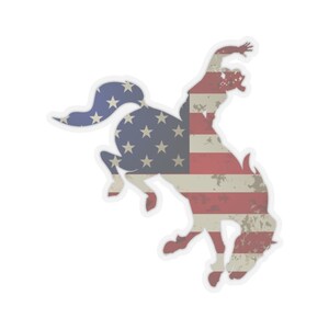Sticker - Patriotic Rodeo Cowboy - Indoor Only - Etsy