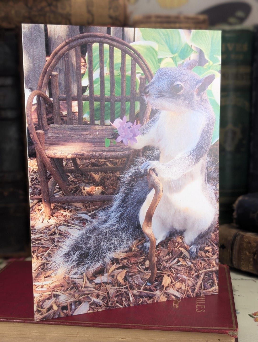 Charming "dexter Flickertail" Taxidermy Squirrel Blank Greeting Card by ...