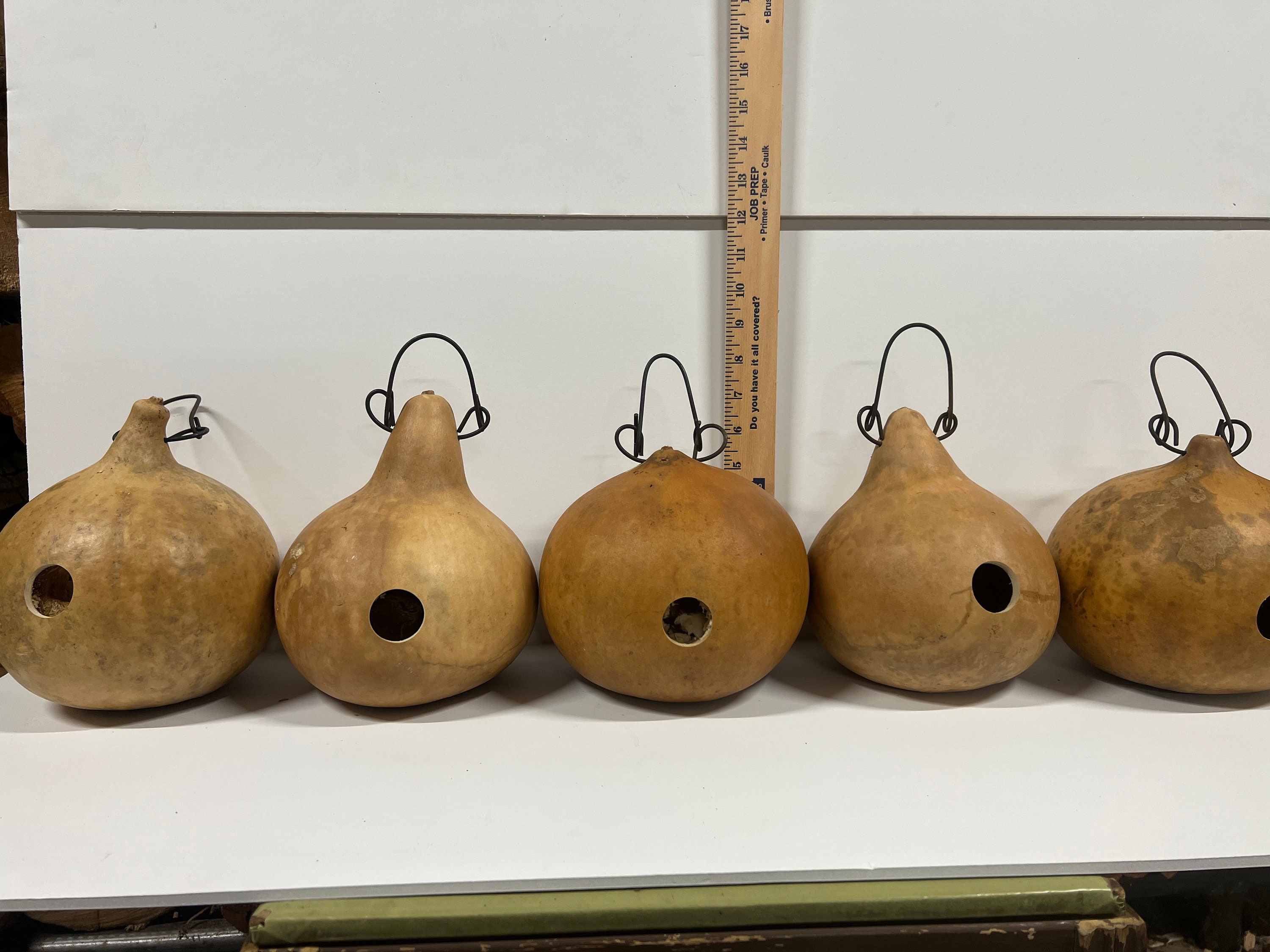 Gourd Ornament, Gourd Seeds, Martin House Gourds, Raw Gourds, Martin ...