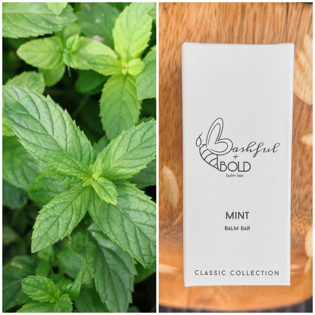 All Natural Mint Balm Bar lip Balm - Etsy