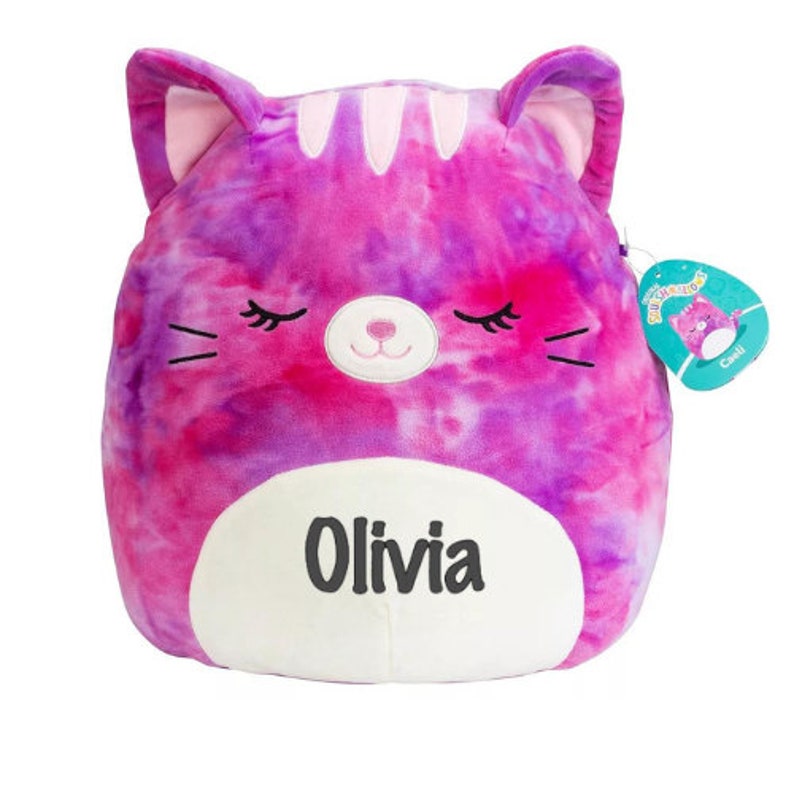 Personalized Squishmallow 14 Inch Caeli the Cat - Etsy