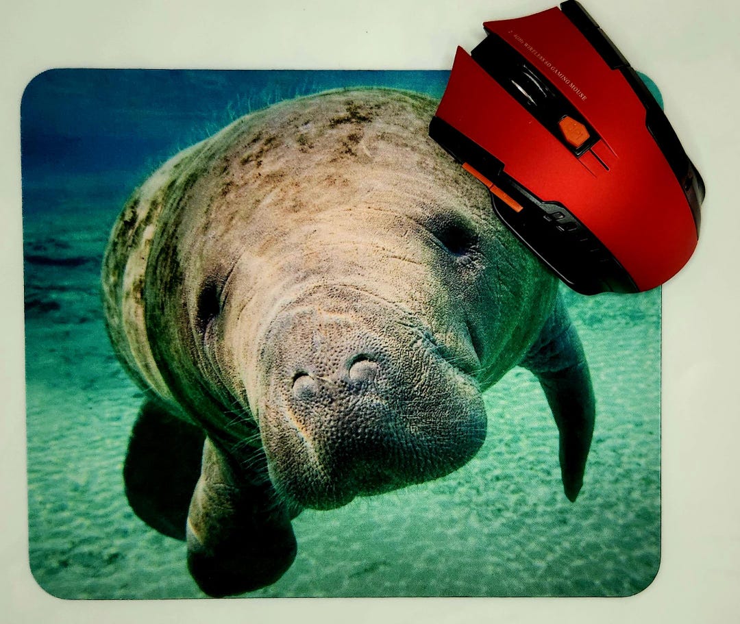 Manatee Sublimated Computer Mouse Pad - Etsy
