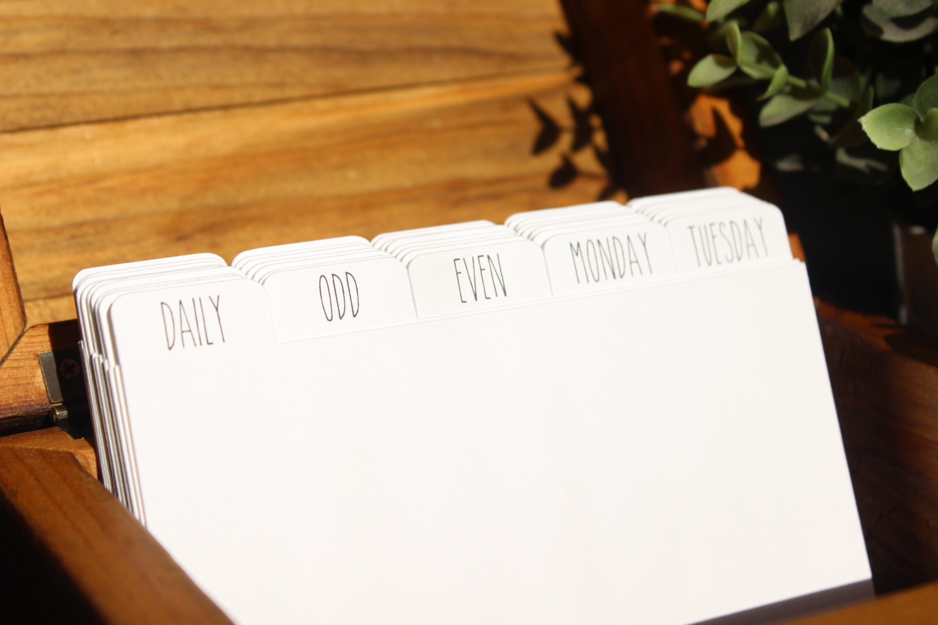 Scripture Memory System, Bible Verse Organization, Family Bible Time ...