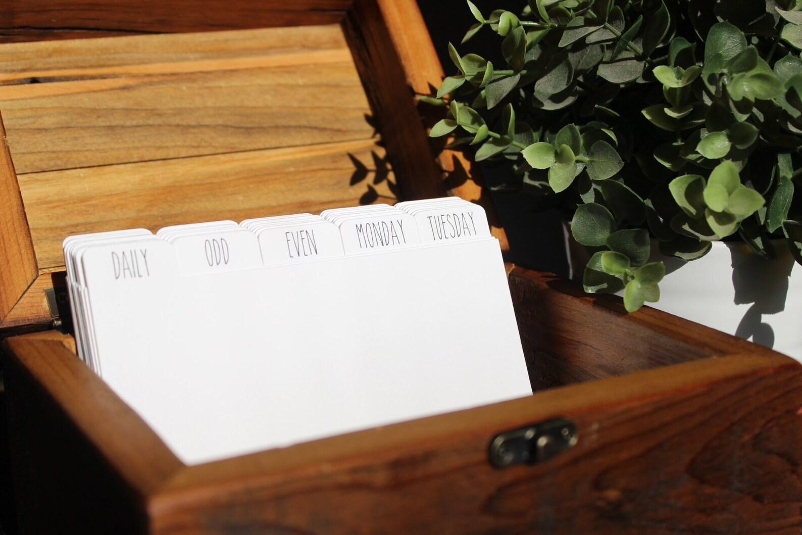 Scripture Memory System, Bible Verse Organization, Family Bible Time ...