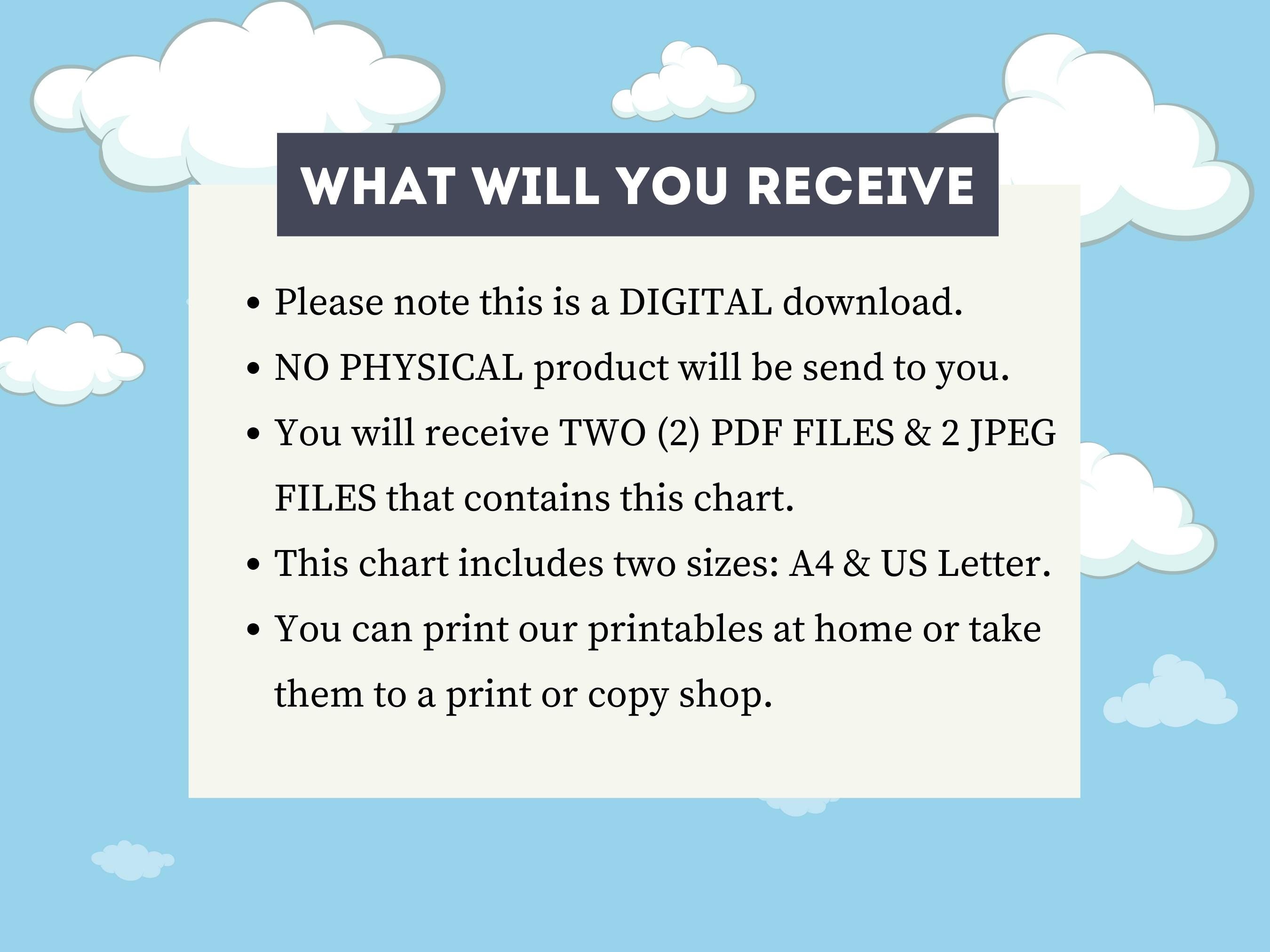 Bluey Bingo Reward Chart,sticker Chart,kids Potty Training,behavior ...