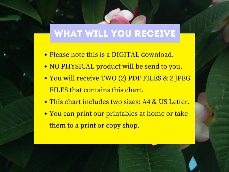 Lilo & Stitch Reward Chart,sticker Chart for Kids,potty Training Chart ...