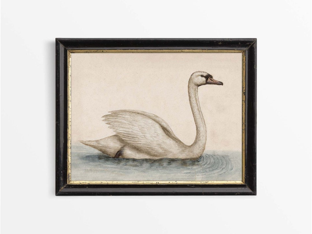 Dark Moody Swans Print Dark Academia Prints Gothic Gifts Moody Wall Art ...