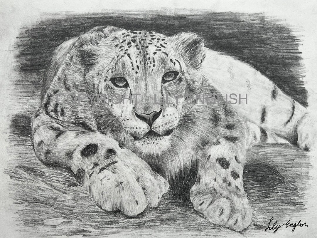 DIGITAL DOWNLOAD Stunning 13yo Prodigy's Snow Leopard Graphite Art ...
