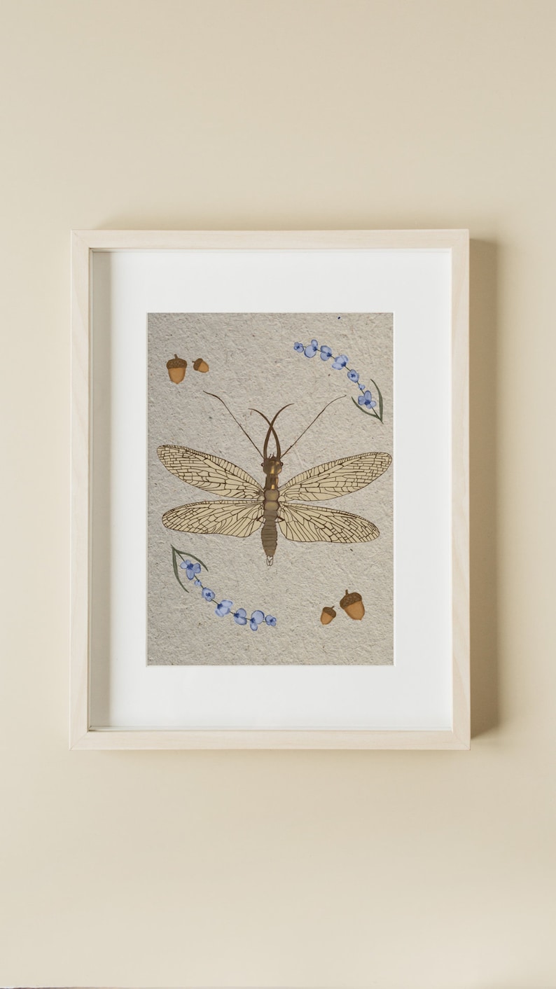 Nature-inspired Dobsonfly Art Print Illustration With Botanical Accents ...