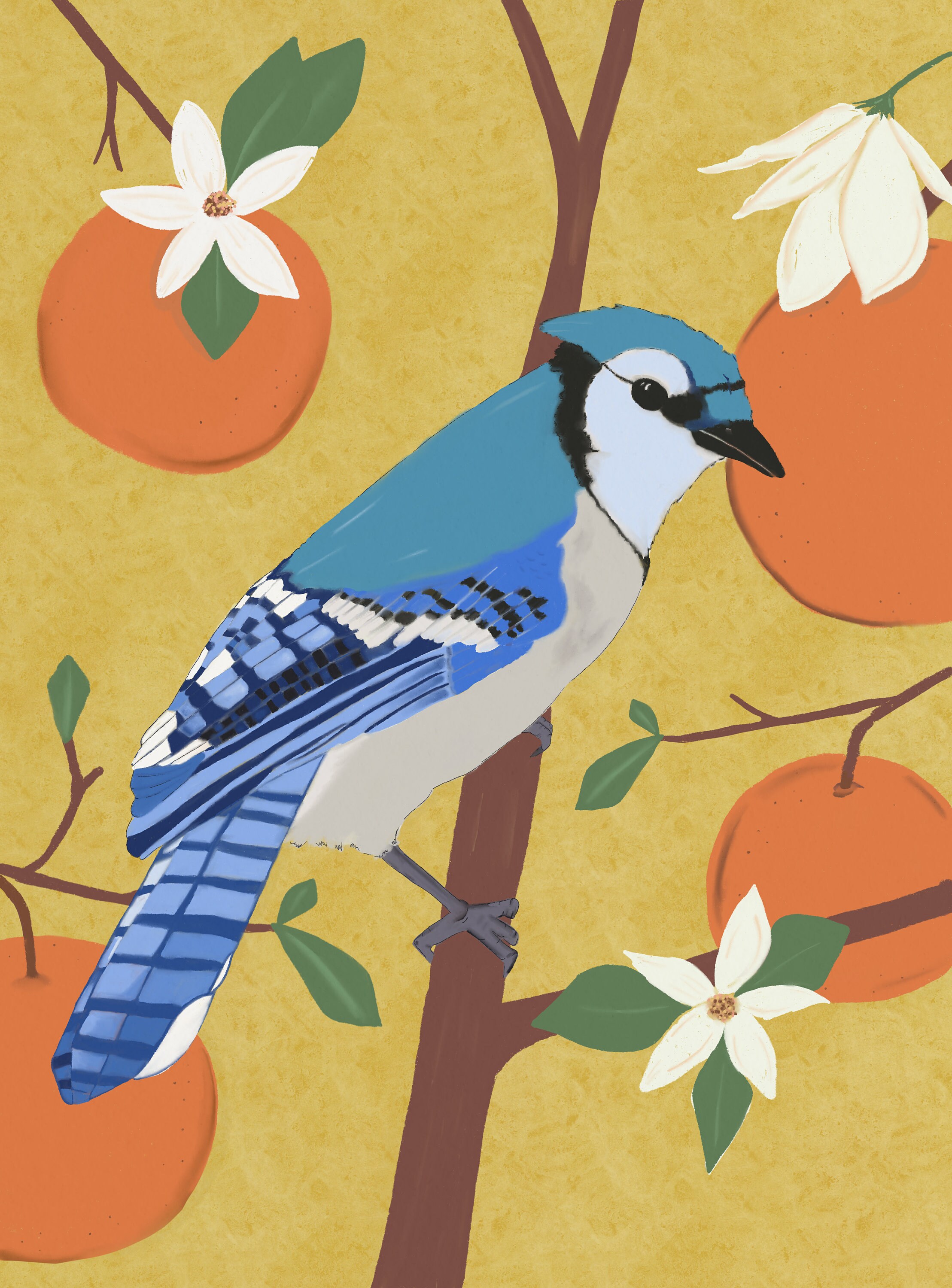 Blue Jay With Orange Blossom Art Print - Etsy