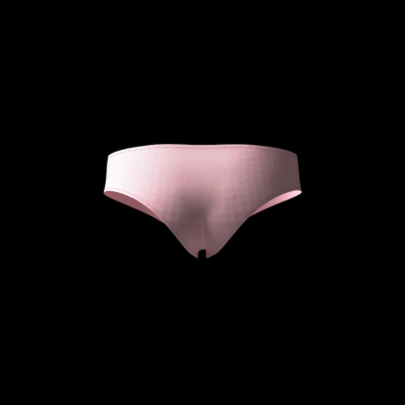 Womens Briefs 3D Garment for CLO3D Marvelous Designer ZPAC ZPRJ File ...
