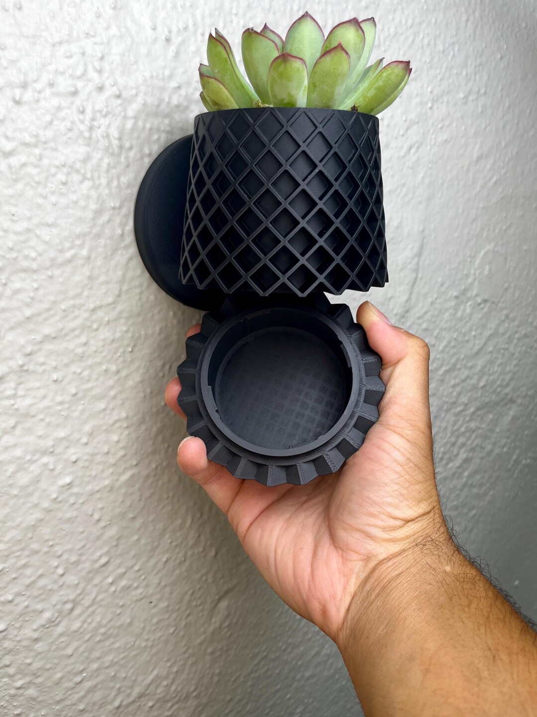 Modern Wall Mounted Planter Dorm Room and Renter Friendly Detachable ...