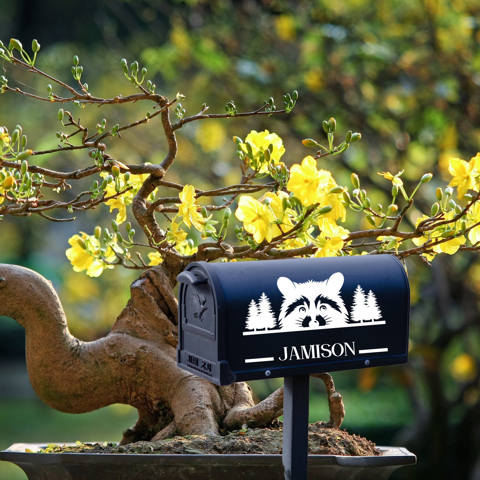Raccoon Mailbox Decal/custom Mailbox Decal/animal Mailbox Decal/custom ...
