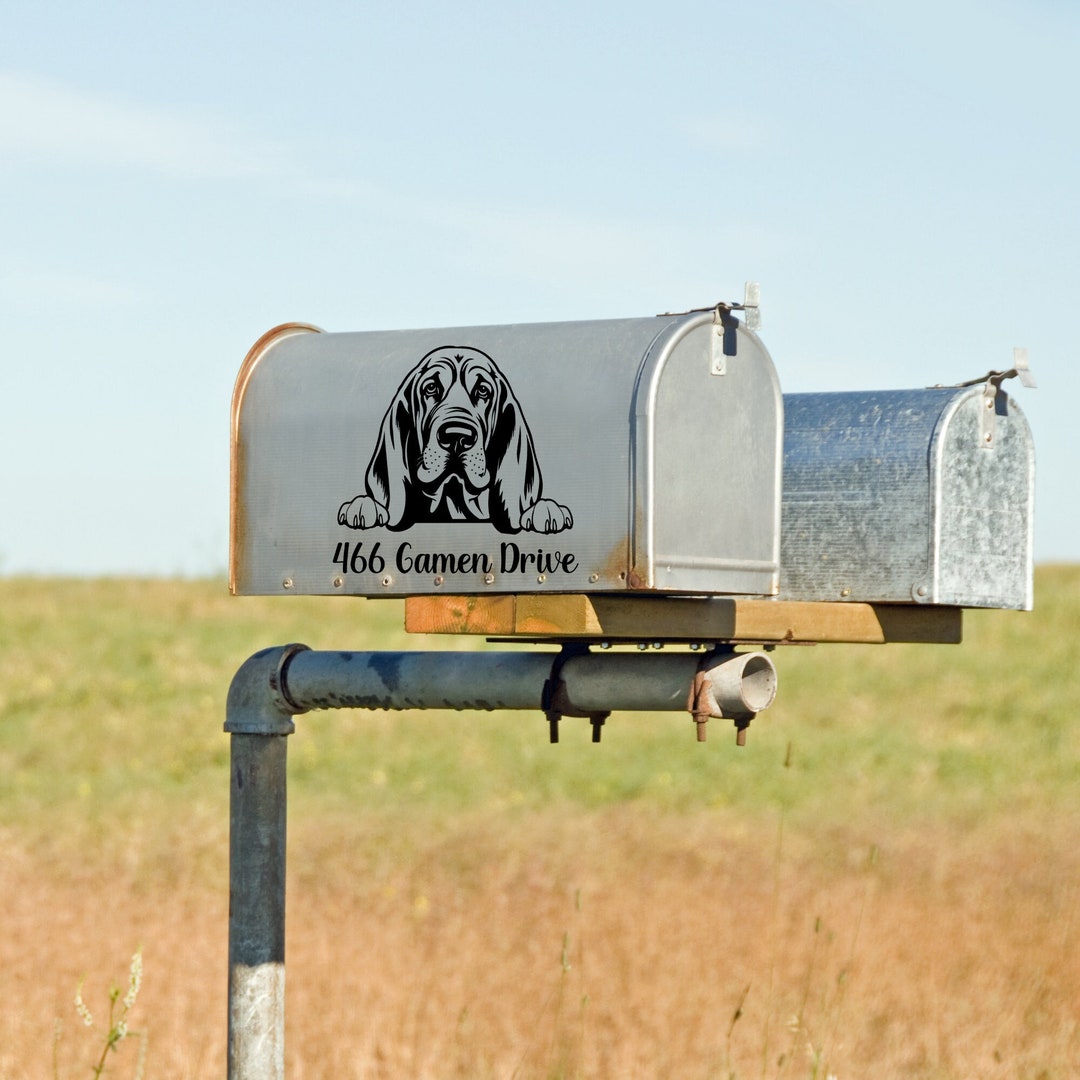 Custom Bloodhound Mailbox Decal/personalized Dog Breed Decal/bloodhound ...